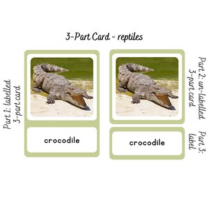 The Montessori 3-part Classified Cards: Reptiles. This PDF is a Zoology ...