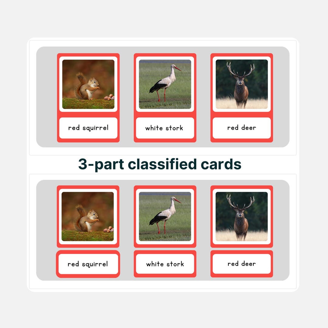 The Montessori 3-part Classified Cards: Wildlife of Europe. PDF Only ...