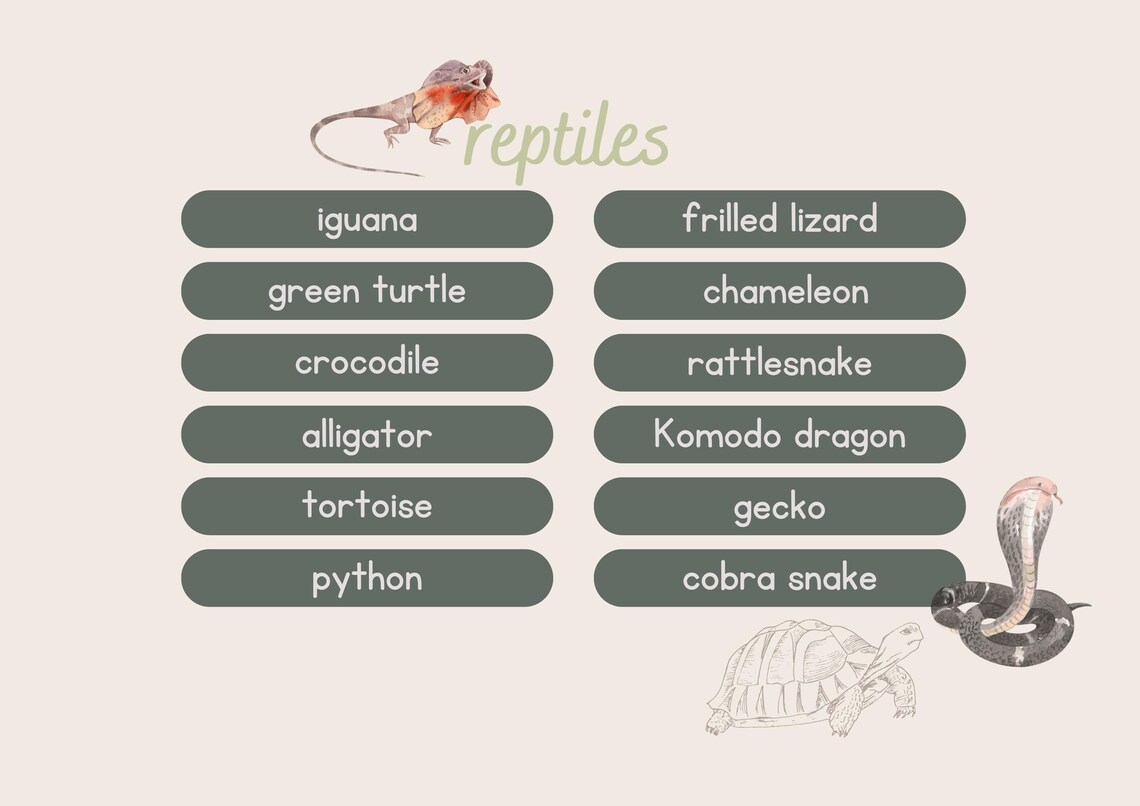 The Montessori 3-part Classified Cards: Reptiles. This PDF is a Zoology ...