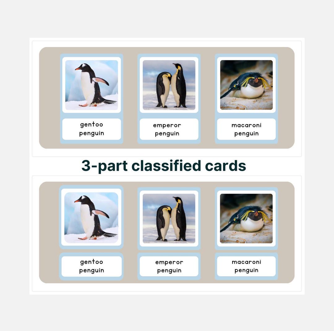 The Montessori 3-part Classified Cards: Penguins. This PDF is a Zoology ...
