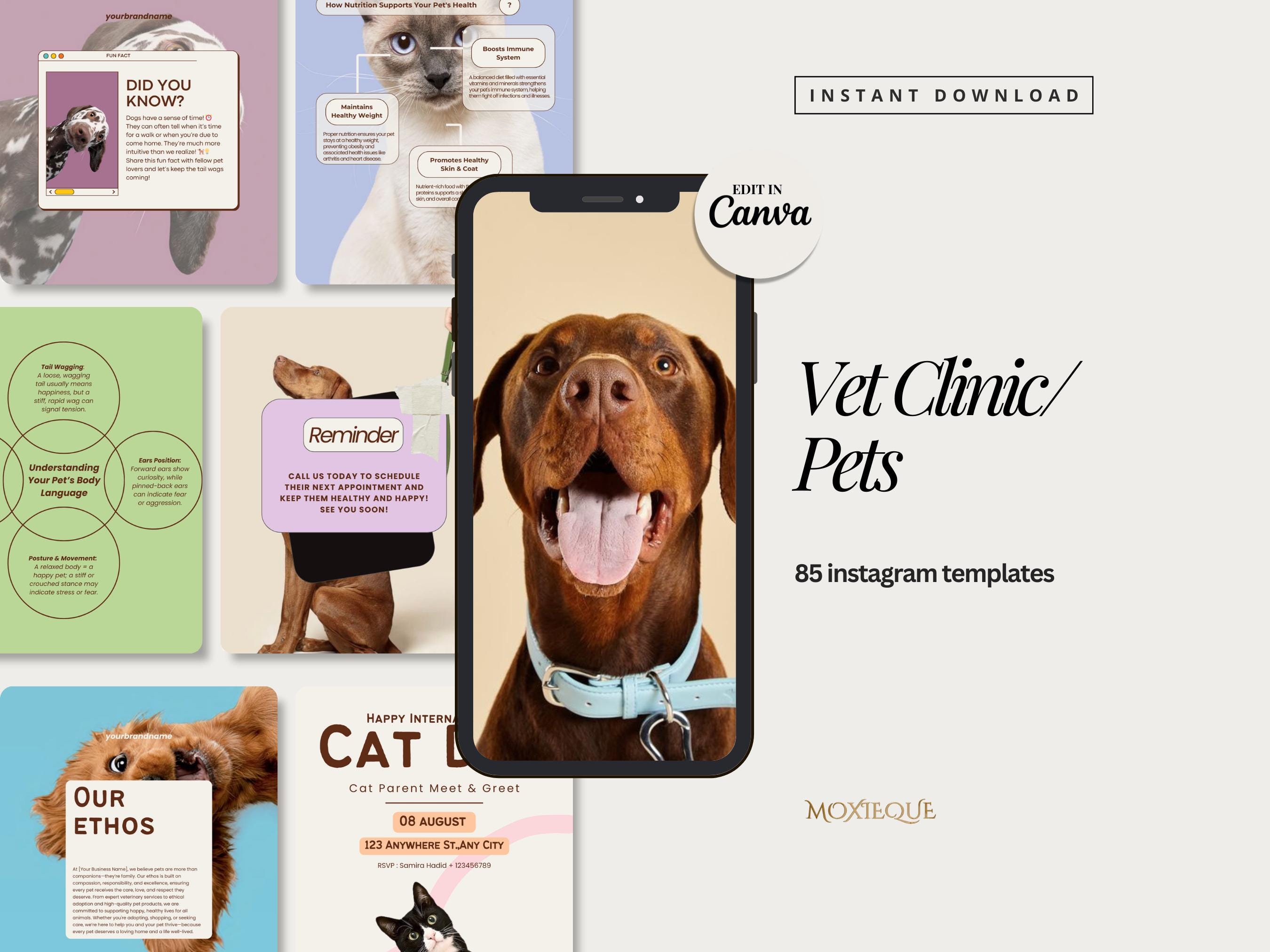 Pets Social Media Templates, Pet Shop Posts, Animal Rescue Veternary ...