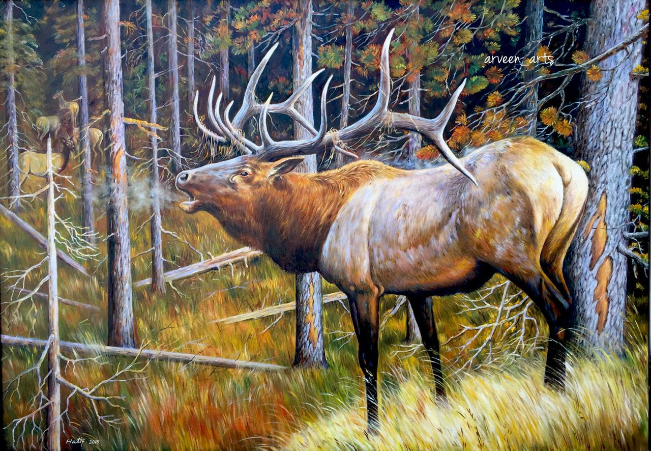 Majestic Bull Elk in the Forest - Original Wildlife Painting ...
