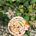 Fall Trivets/handmade Trivets/kitchen Trivets/kitchen - Etsy