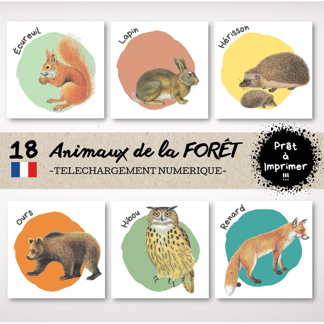 18 Forest Animals Flashcards to Teach Toddlers French, Matching Game to ...