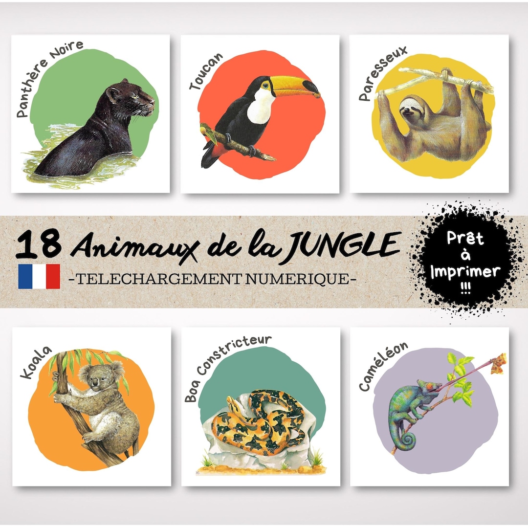 JUNGLE Animals Flashcards to Teach Toddlers French, Matching Game to ...