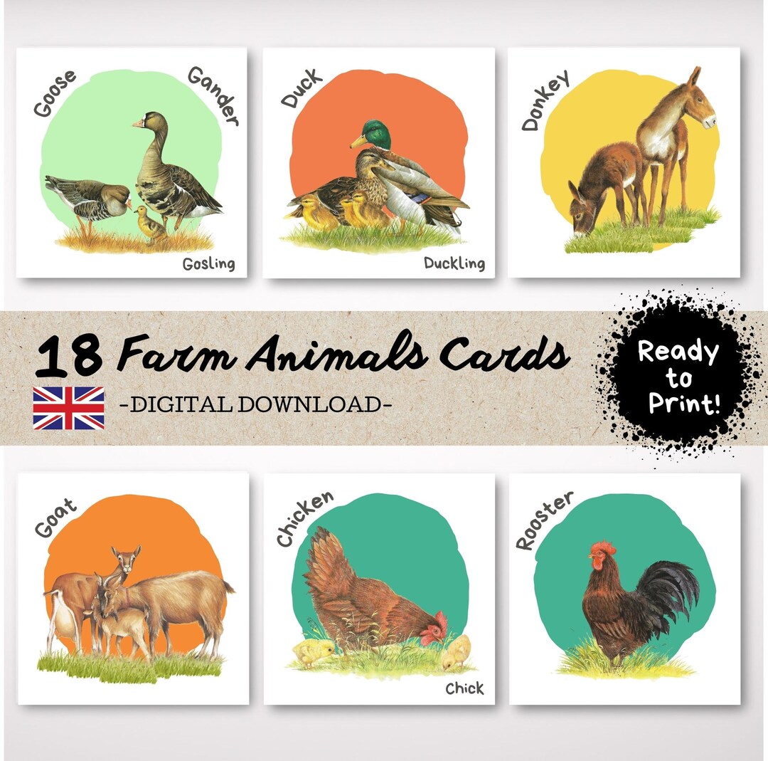 FARM Animals Cards, 18 Barnyard Animals Flashcards, Printable Matching ...