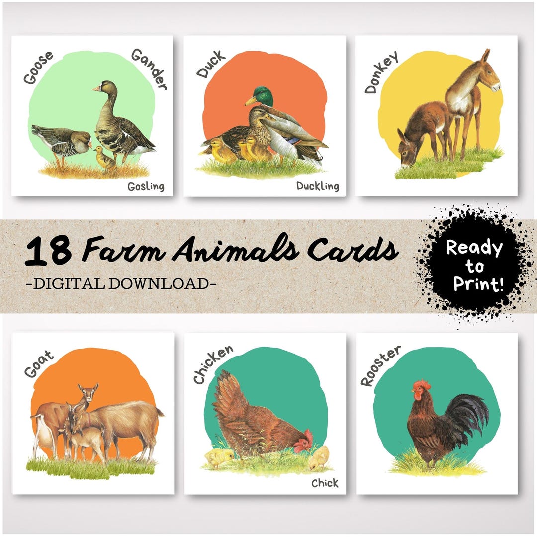 FARM Animals, 18 Animals Flashcards, Printable Matching Game - Etsy