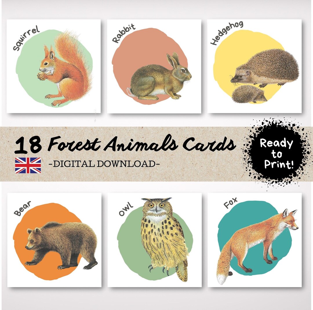 18 Forest Animals Flashcards, Matching Game Woodland Animals - Etsy Canada