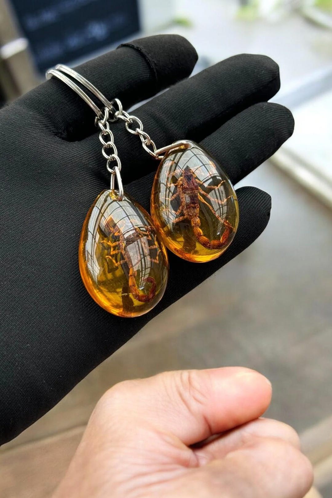 Scorpion Keychain Powder Amber Price is for 1 Piece - Etsy