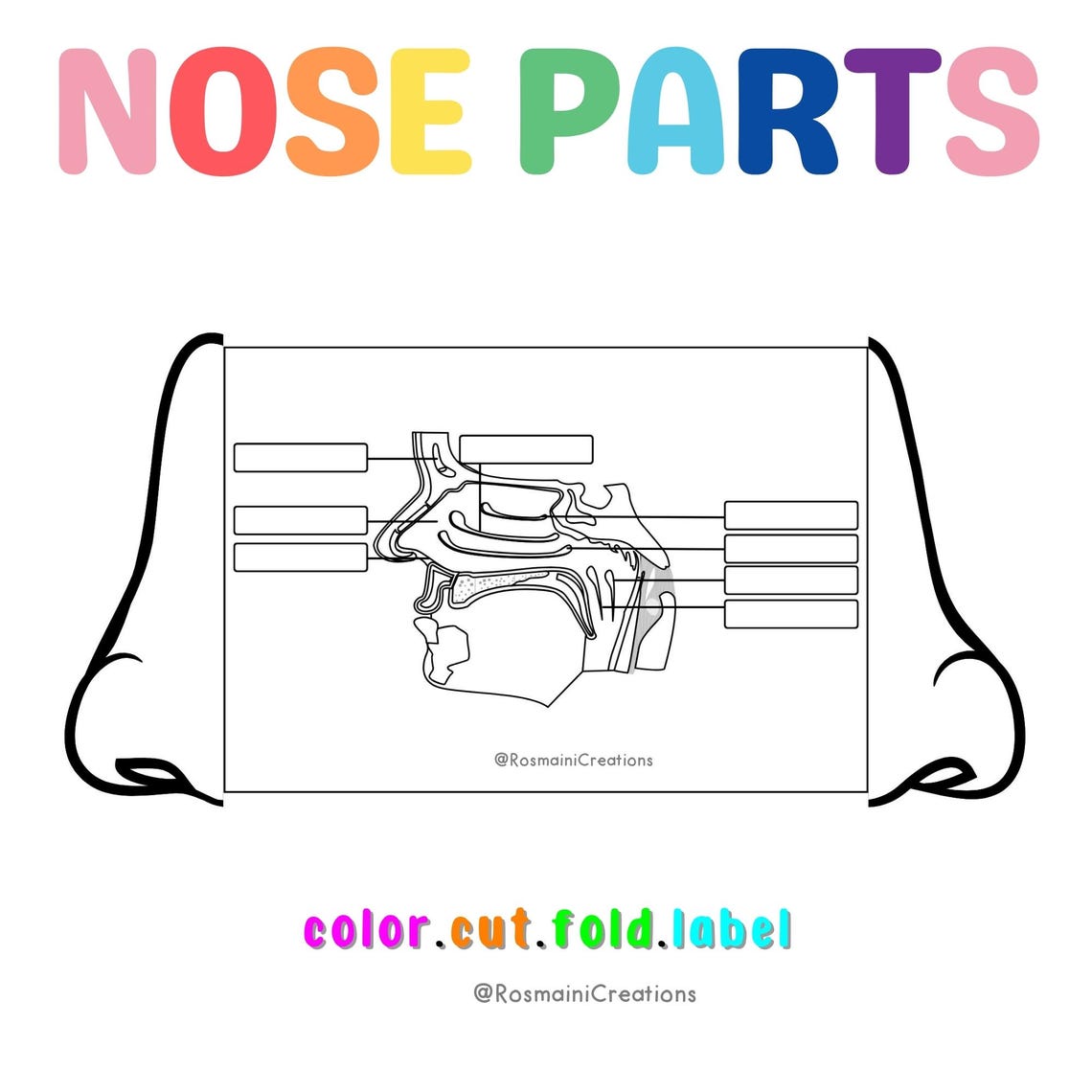 Foldable Human Nose Anatomy Learning Activity for Kids | Cut and Paste ...