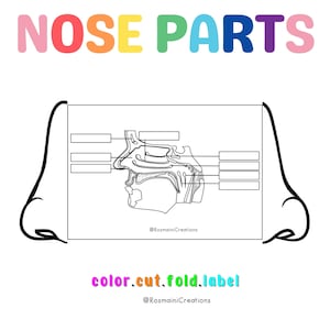 Foldable Human Nose Anatomy Learning Activity for Kids | Cut and Paste ...