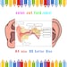 Foldable Ear Anatomy Learning Activity for Kids | Ear Anatomy Printable ...