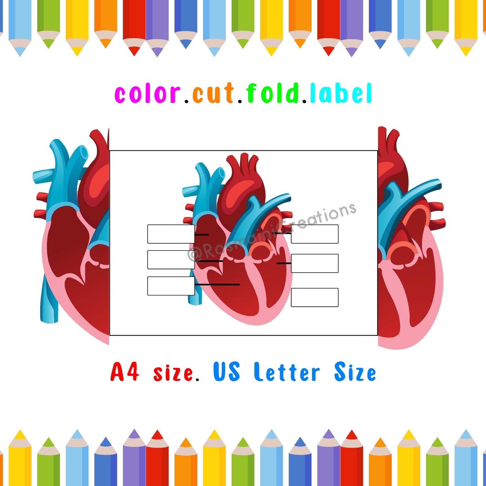 Foldable Human Heart Anatomy Learning Activity for Kids | Cut and Paste ...