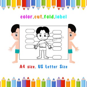 Foldable Human Body Learning Activity for Kids | Human Body Printable ...