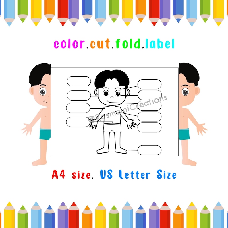 Foldable Human Body Learning Activity for Kids | Human Body Printable ...