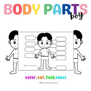 Foldable Human Body Learning Activity for Kids | Human Body Printable ...