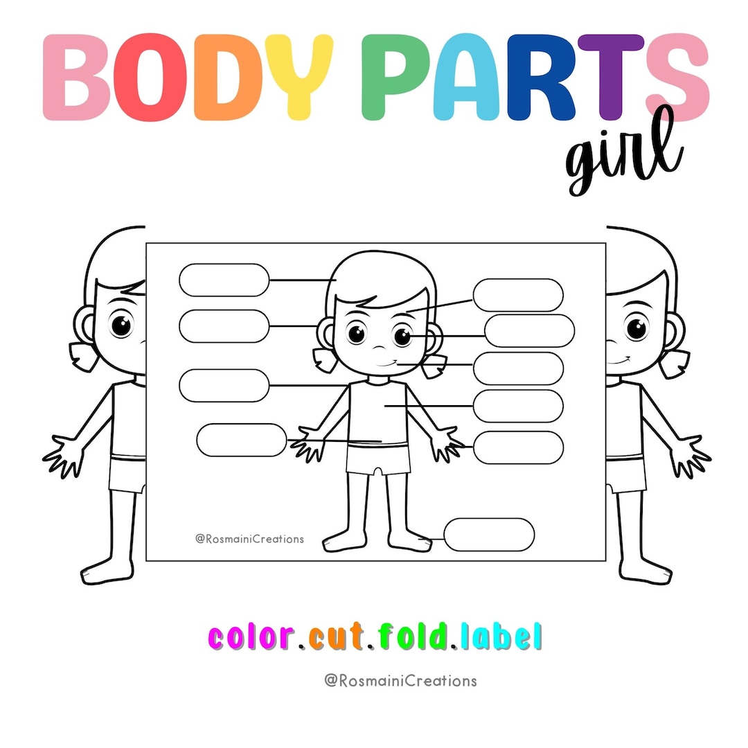 Foldable Human Body Learning Activity for Kids | Human Body Printable ...