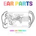 Foldable Ear Anatomy Learning Activity for Kids | Ear Anatomy Printable ...