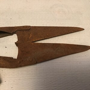 Vintage Antique Primitive Sheep / Mule Shears Farm Tool S- 104. - Etsy