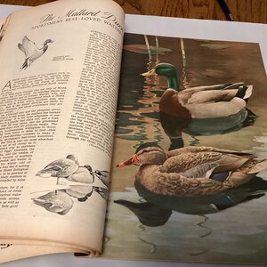 Vintage January 1944 Outdoor Life Magazine Fishing, Hunting, Camping ...