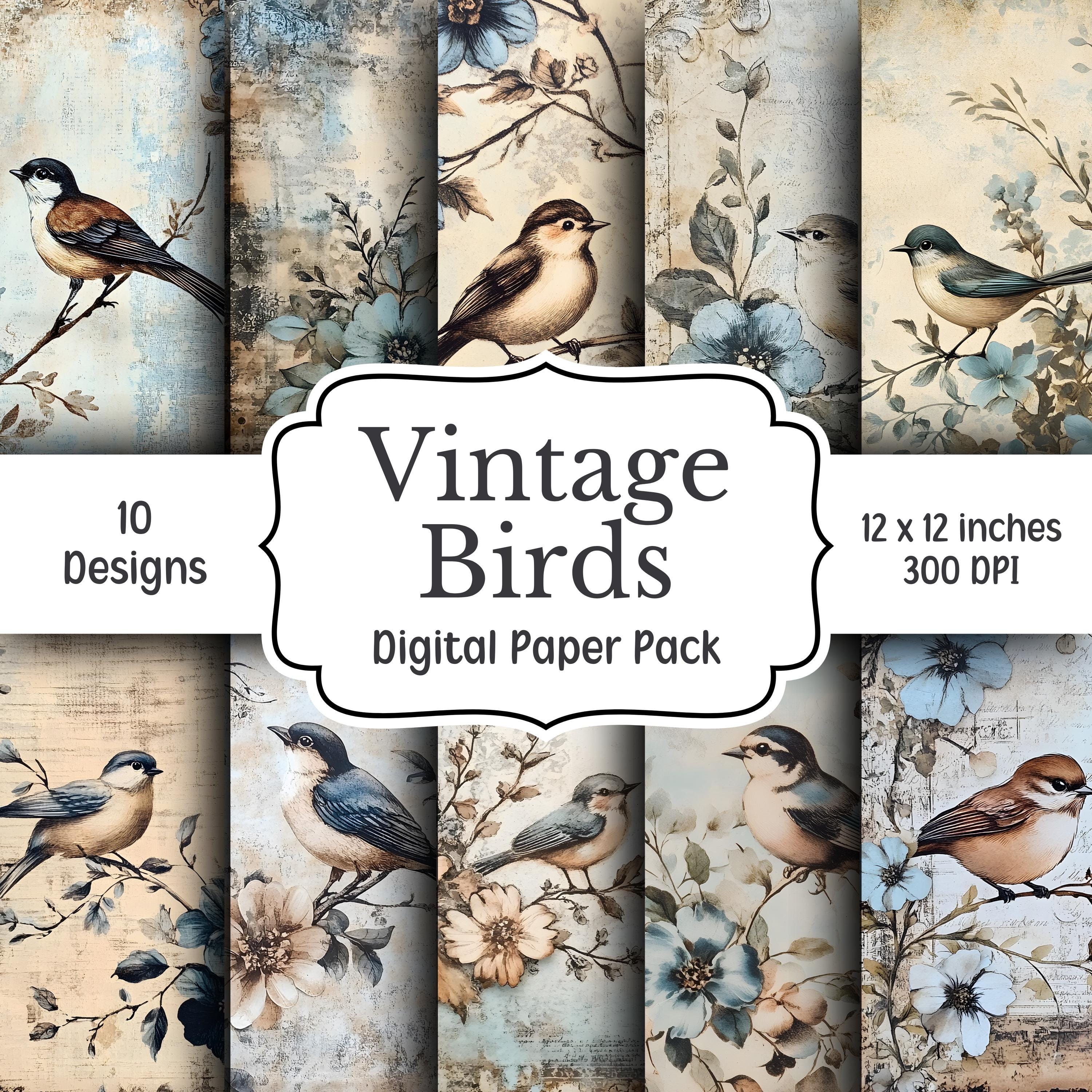 Vintage Birds Digital Paper Pack, Antique Birds Digital Paper ...