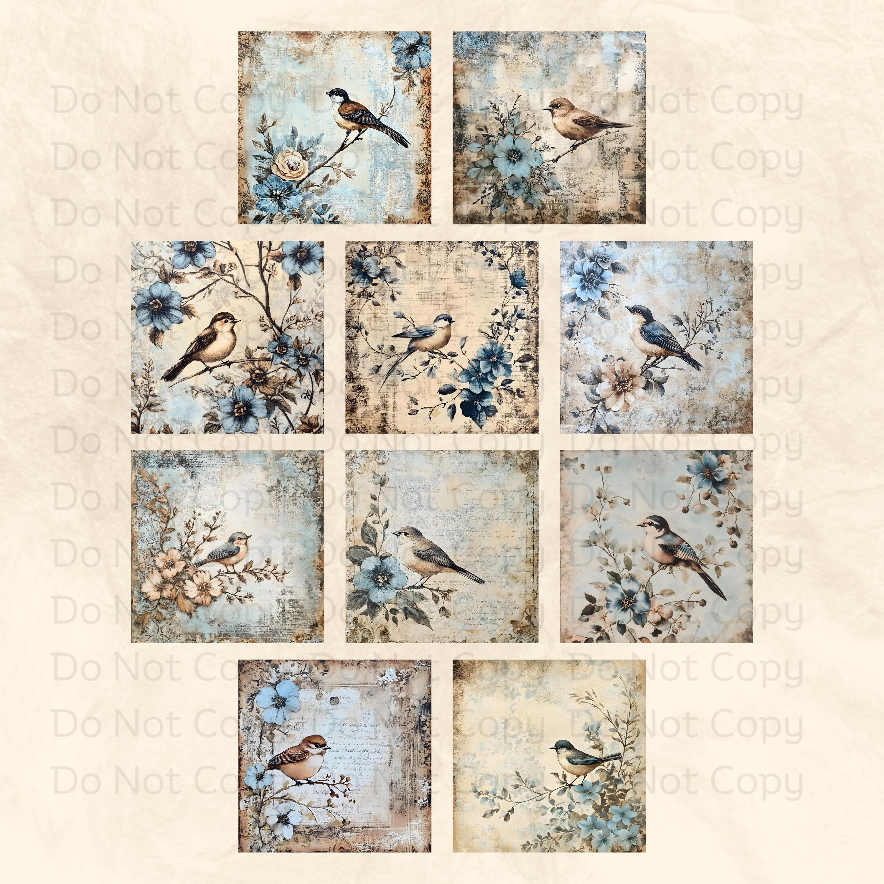 Vintage Birds Digital Paper Pack, Antique Birds Digital Paper ...