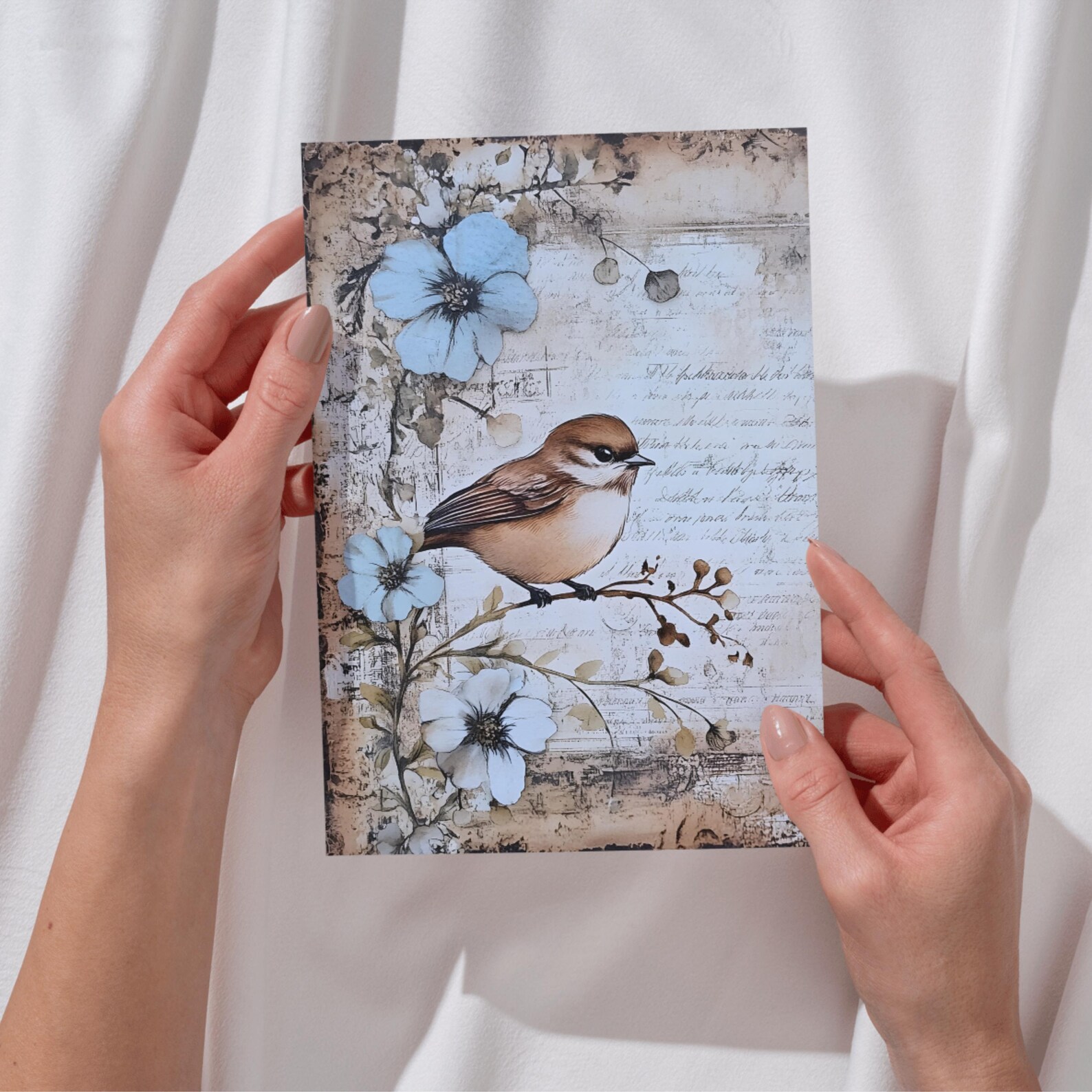 Vintage Birds Digital Paper Pack, Antique Birds Digital Paper ...