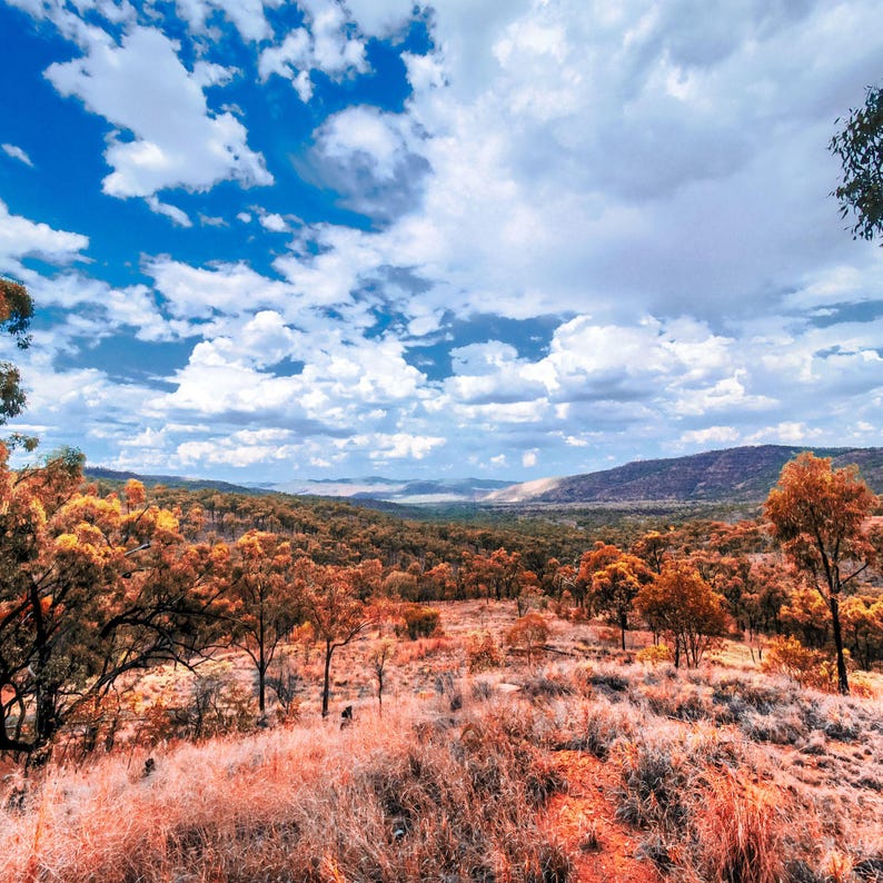 Australian Outback Photo - Digital Download - Etsy