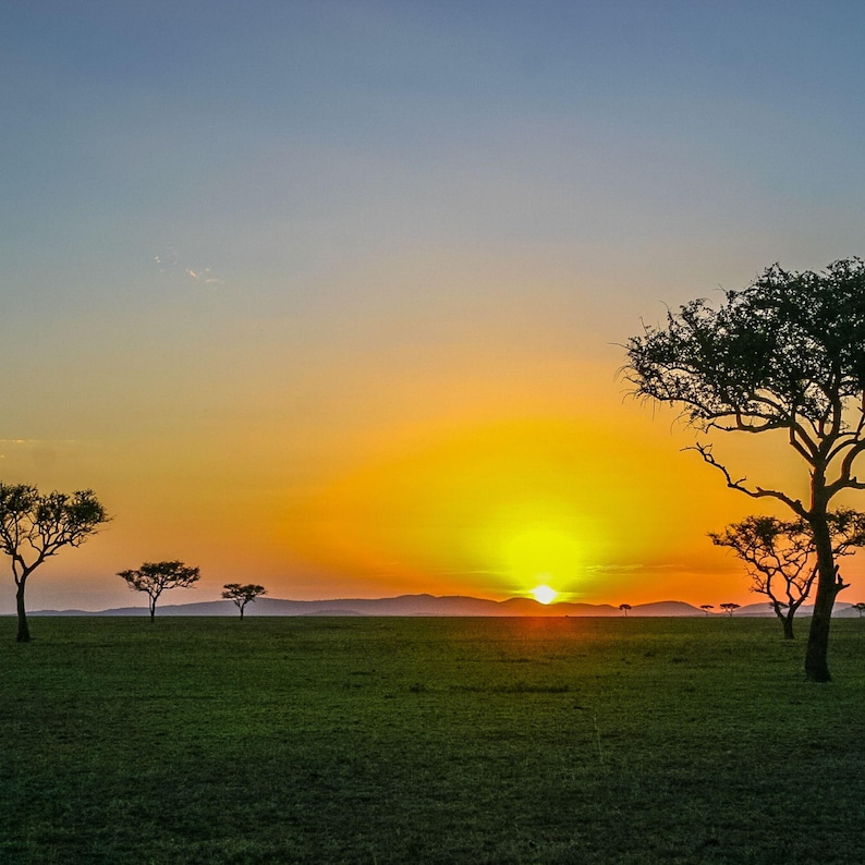 Savanna Sunset Print African Landscape Wall Art Serengeti Sunset ...