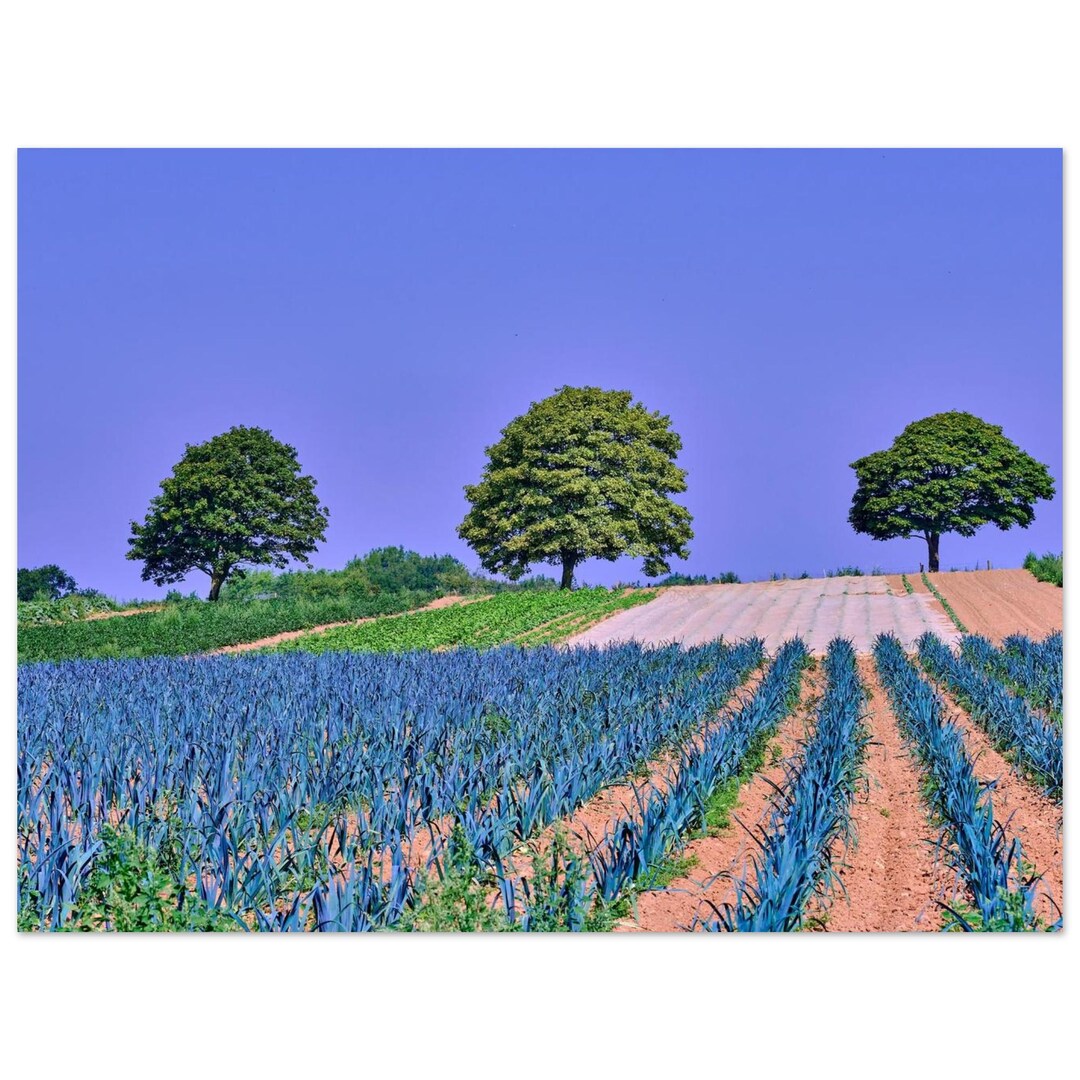 Devon Summer Farmland Landscape Print - Etsy