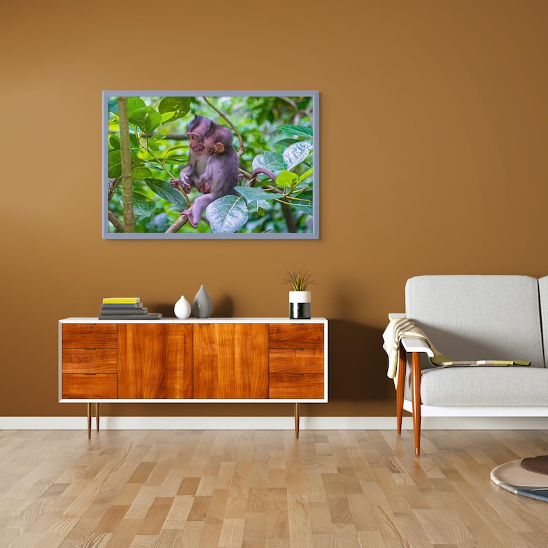 Baby Monkeys Hugging Photo: Thailand Wildlife Art Print (digital ...