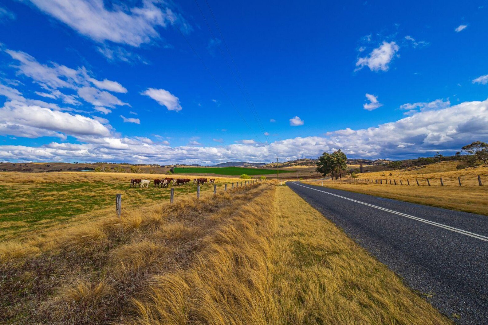 Tenterfield Australia Landscape Photo: Aussie Fields & Vineyards ...