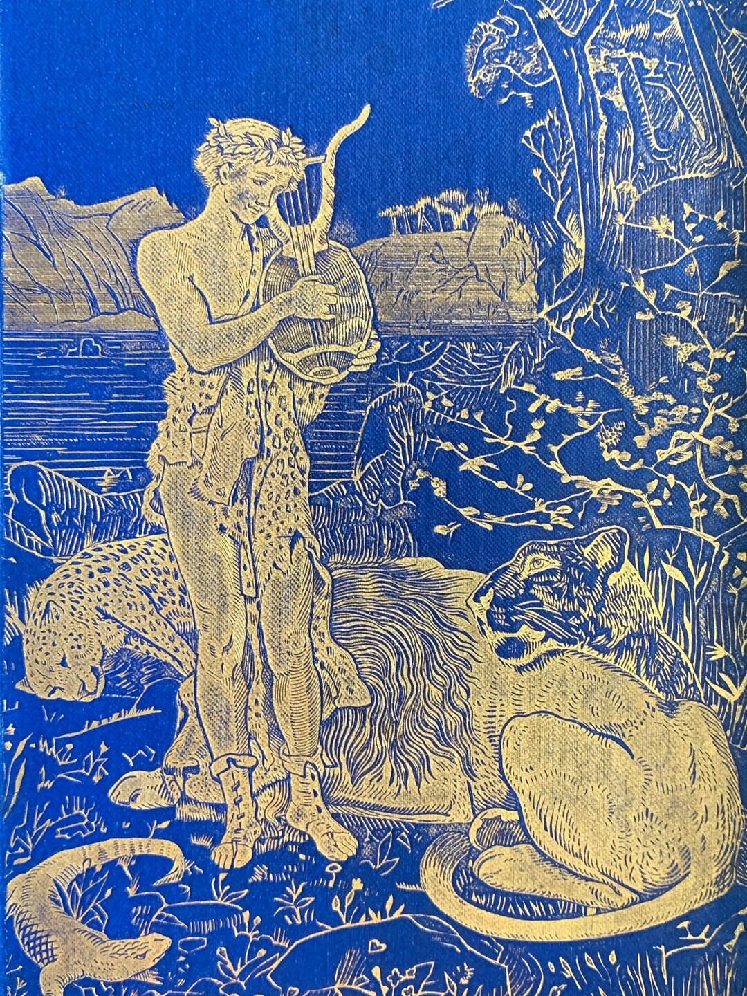 1891 the Blue Poetry Book Andrew Lang Gilt Cover First Edition - Etsy