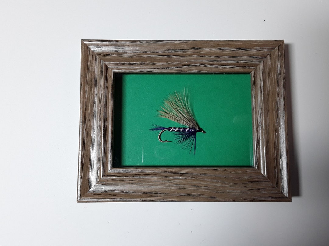 Purple Peril, Steelhead Desk Display. Fly Fishing Desk Display, Fly ...