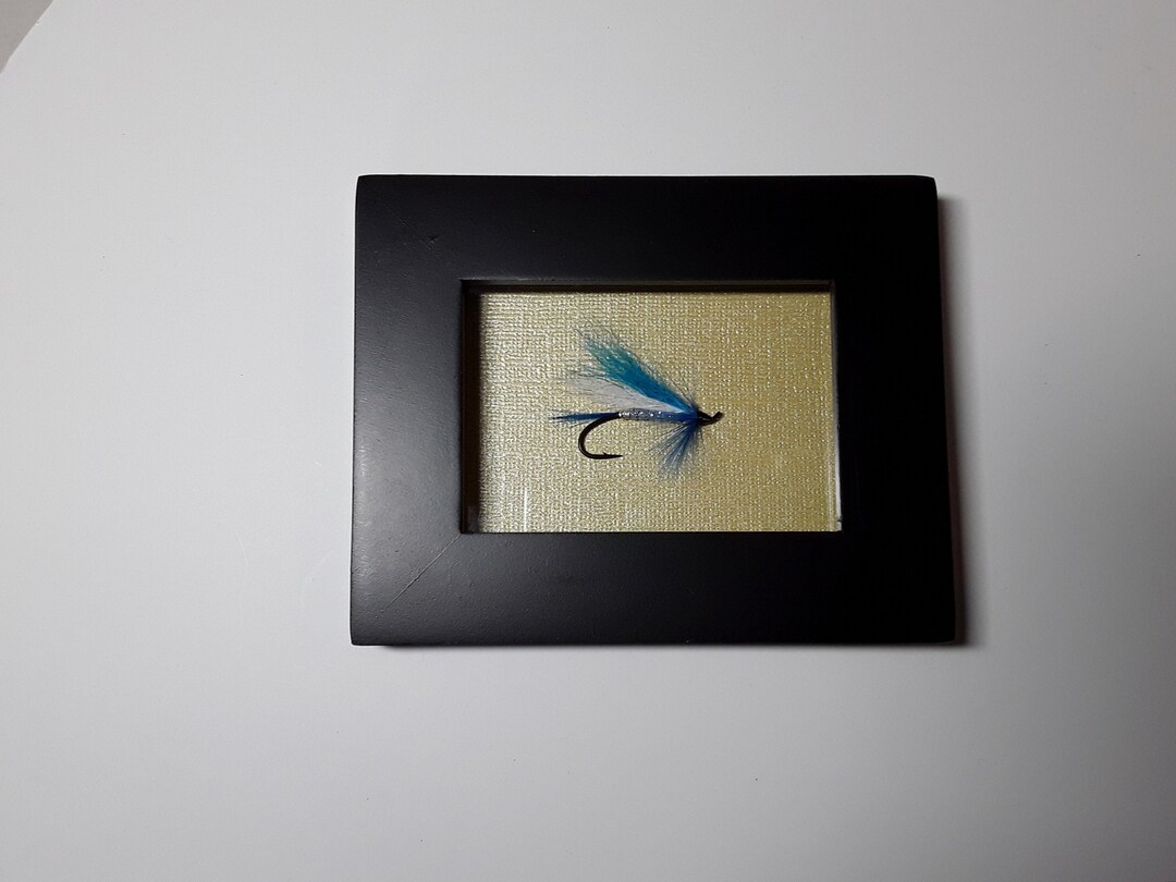 Coho Blue - Pacific Salmon Fly Desk Display. Fly Fishing Desk Display ...