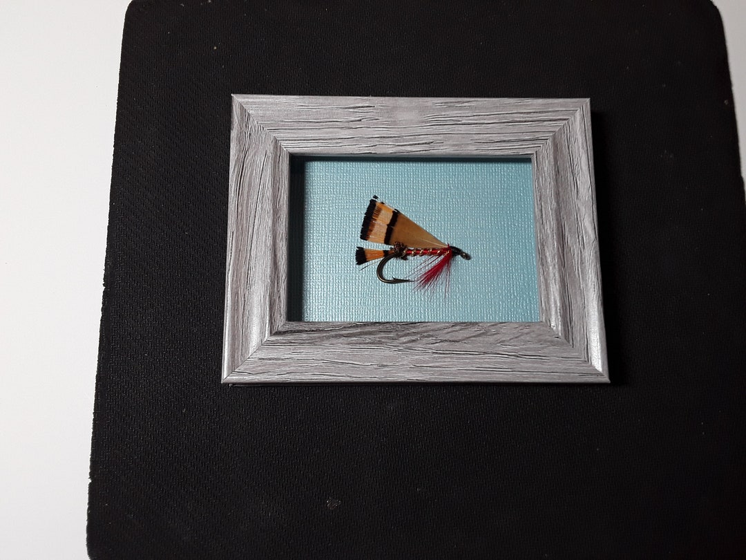 Durham Ranger Trout Streamer Fly Desk Display. Fly Fishing Desk Display ...