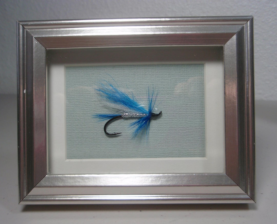 Coho Blue Pacific Salmon Fly Desk Display. Fly Fishing Desk Display ...