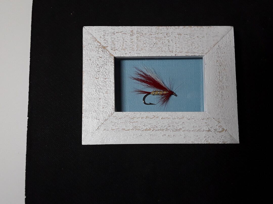 Cutthroat, Steelhead Fly Desk Display. Fly Fishing Desk Display, Fly ...