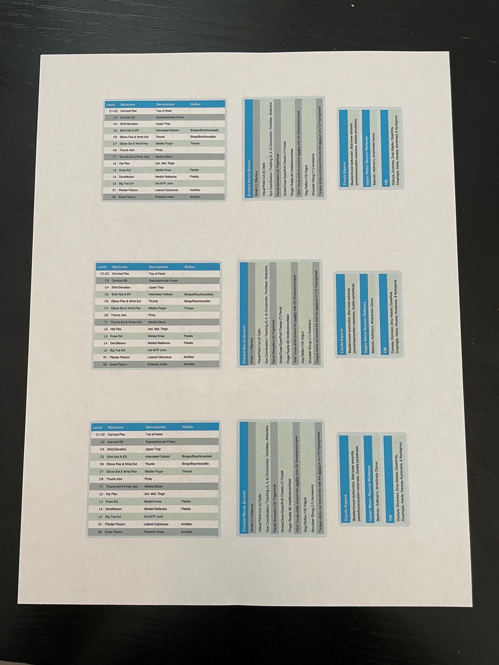PT/OT Computer Sticker Cheat Sheet: Dermatome, Myotome, Reflex (PDF) - Etsy