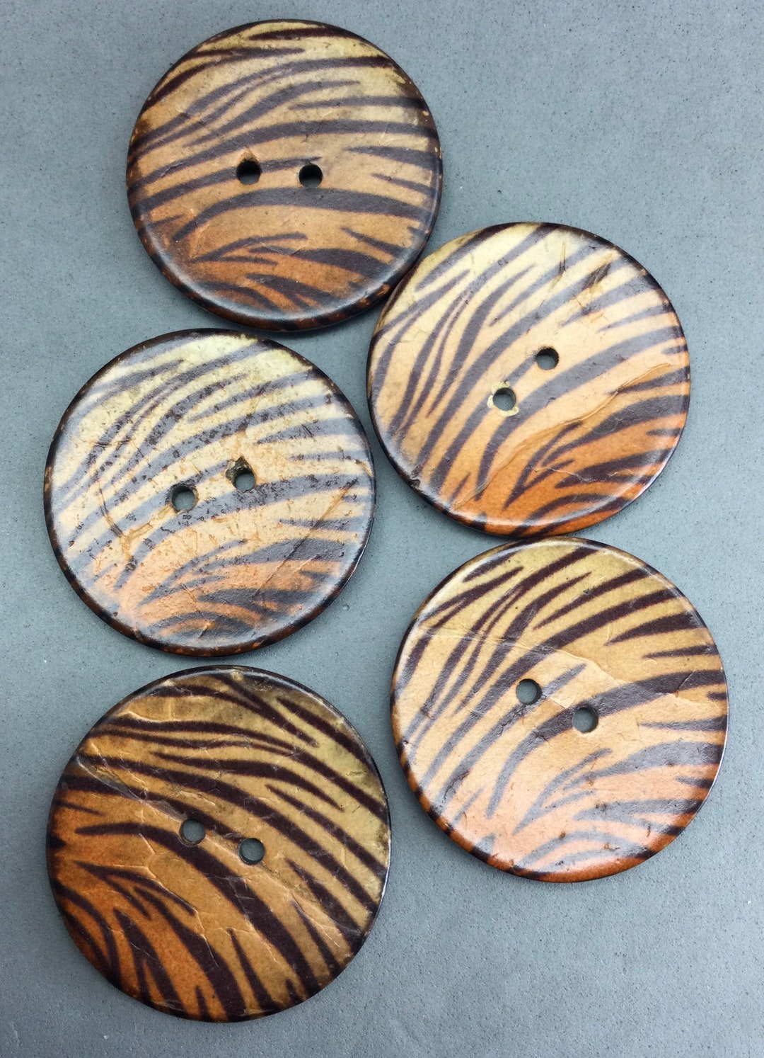 5 COCONUT SHELL ANIMAL Print Buttons, Large - Etsy