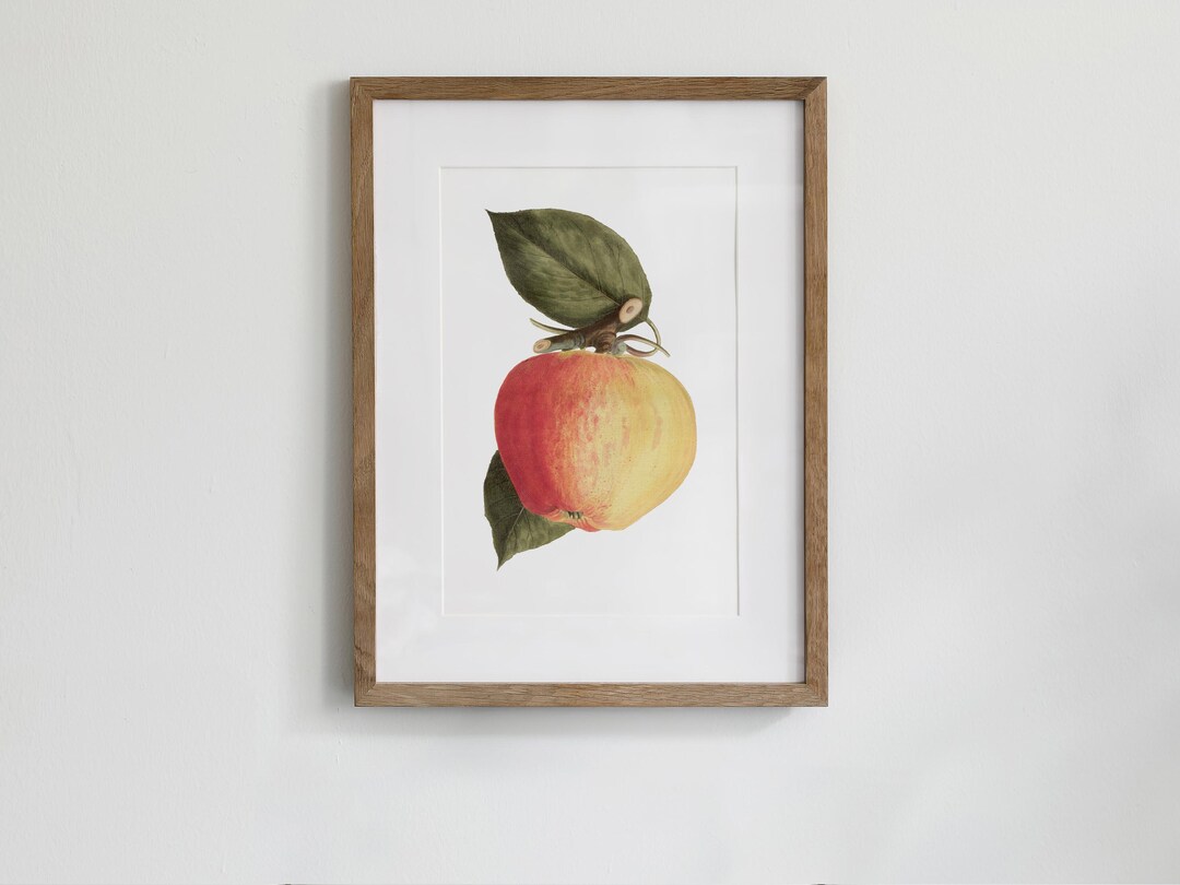 Apple Wall Print, Botanical Wall Art, Digital Print Download, Digital ...