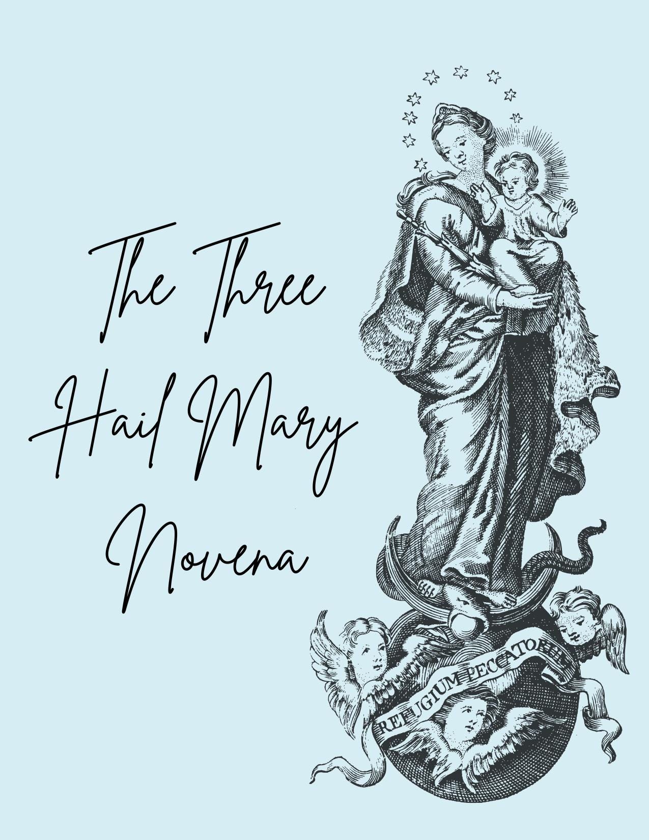 Three Hail Mary Novena Printable Booklet (PDF) - Etsy