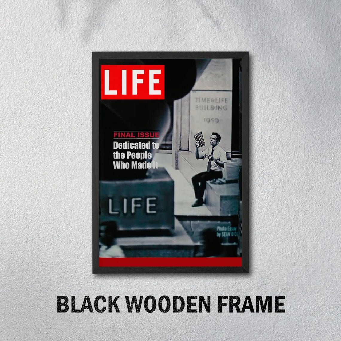 The Secret Life of Walter Mitty Movie Poster: Canvas Wall Art - Decor ...