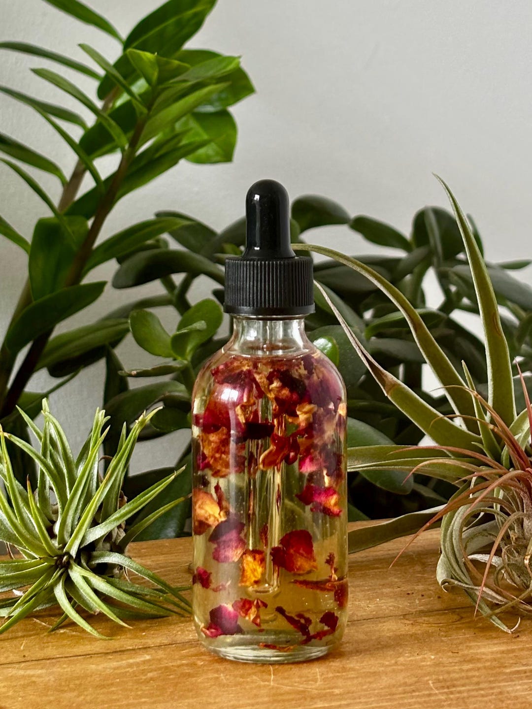 Handmade Botanical Cold-pressed Moringa Oil Infused With Red Rose ...