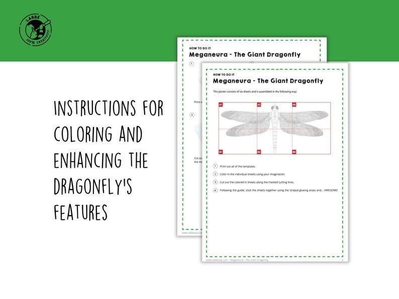 Meganeura Coloring Page: Giant Dragonfly Art, Kids Activity (PDF) - Etsy