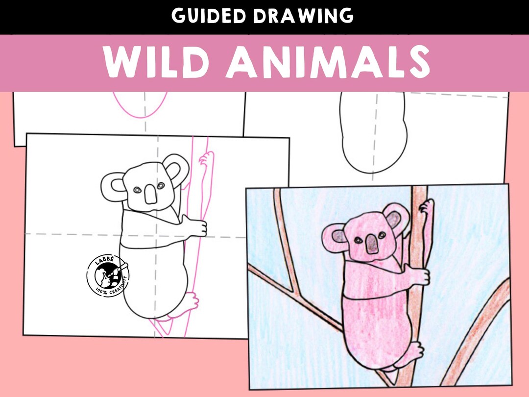 Guided Drawing - Wild Animals, Step-by-step Drawing Guide, Fun Kids Art ...