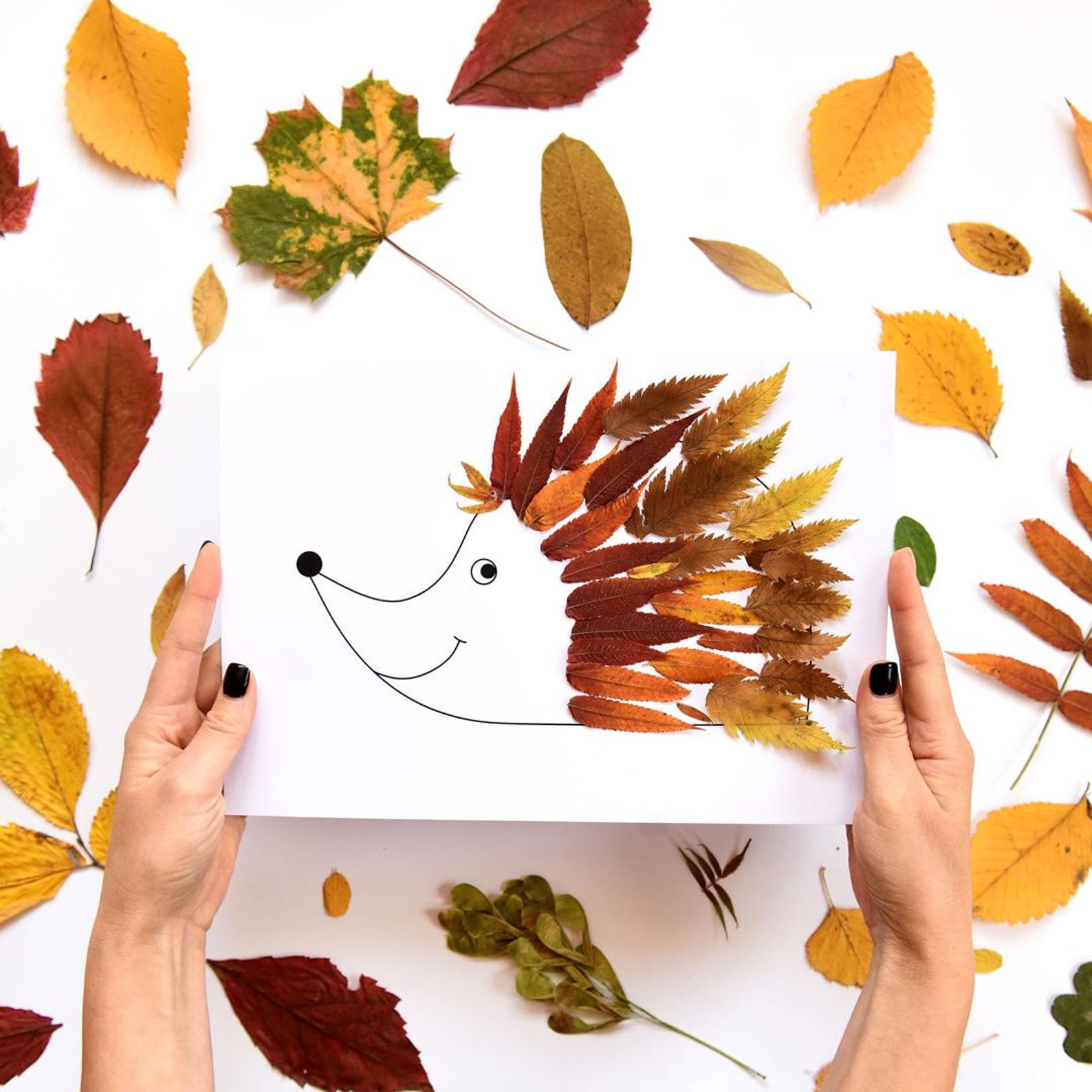 Leaf Creatures | Fall Craft | DIY Leaf Animal Templates | Creative Leaf ...