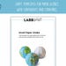 DIY Paper Globe Template: Educational Craft Project (diameter of 5.9 ...