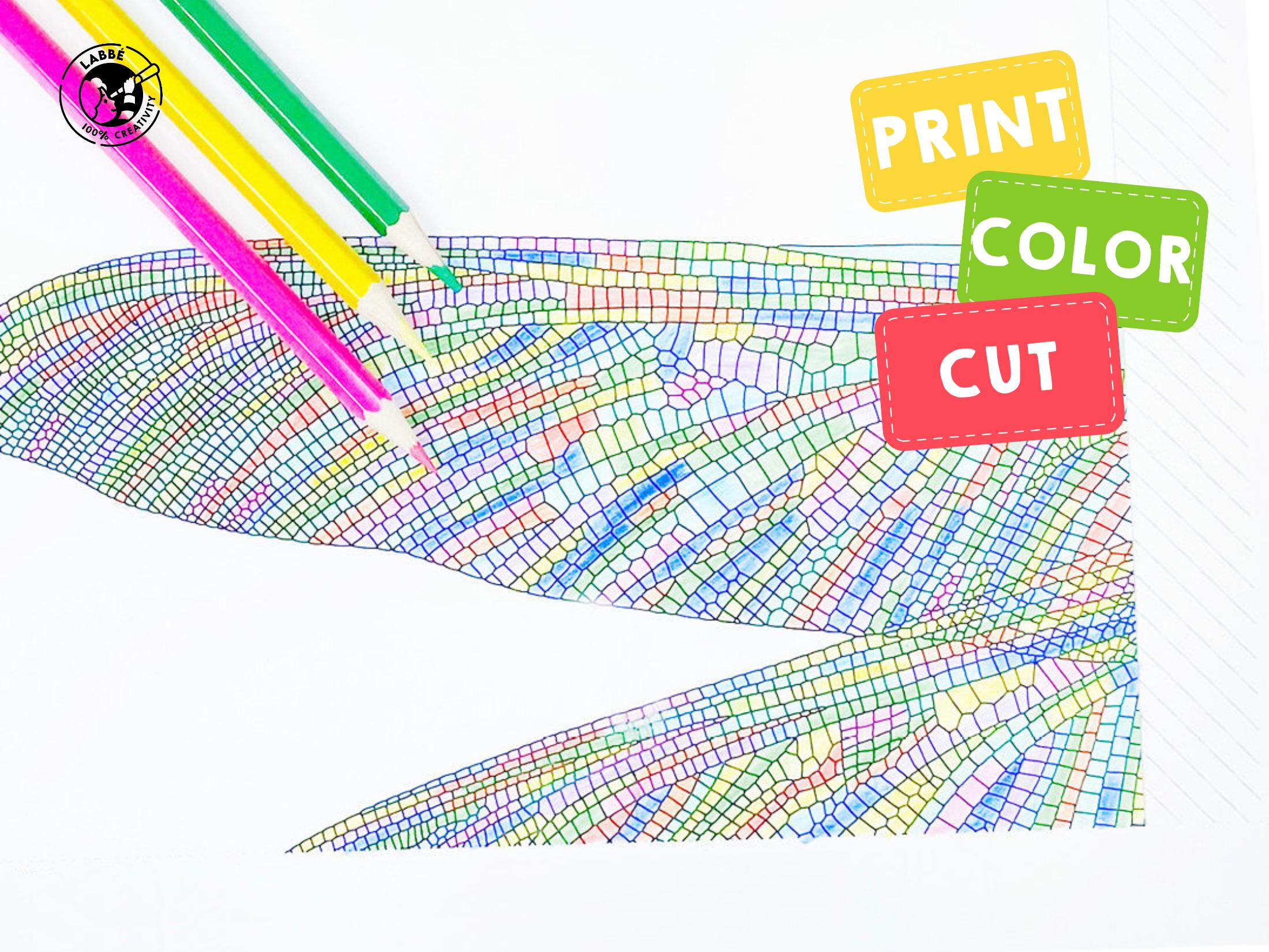 Meganeura Coloring Page: Giant Dragonfly Art, Kids Activity (PDF) - Etsy