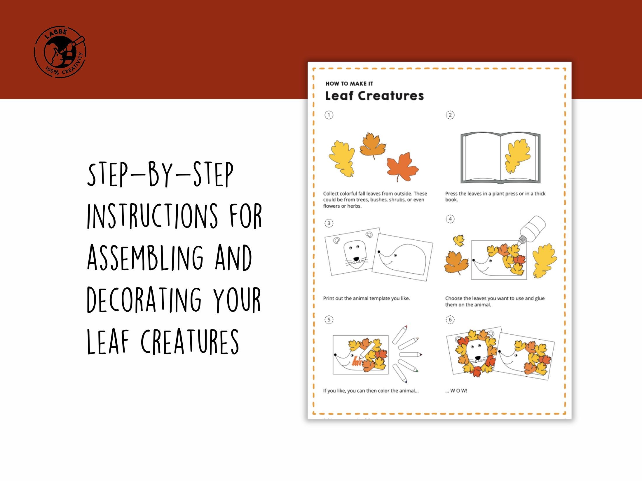 Leaf Creatures | Fall Craft | DIY Leaf Animal Templates | Creative Leaf ...